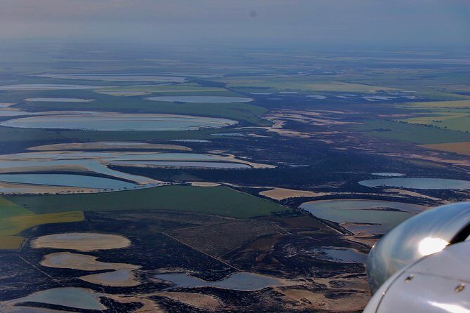 Wave Rock, Pinnacles and Rottnest One Day Aeroplane Tour - The Sum Up