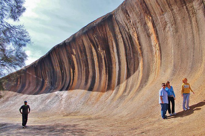 Wave Rock & Rottnest Island - Air & Ground Tour - A Detailed Look at the Tour