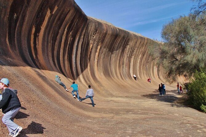 Wave Rock & Rottnest Island - Air & Ground Tour - Authentic Feedback and Real Experiences