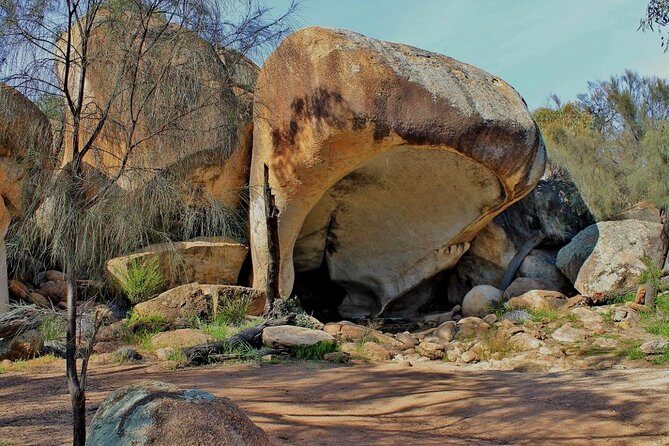 Wave Rock & Rottnest Island - Air & Ground Tour - Who Should Consider This Tour?