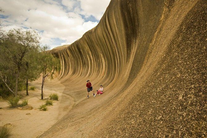 Wave Rock, York, Wildflowers, and Aboriginal Cultural Day Tour from Perth - Introduction: Who Will Appreciate This Tour?