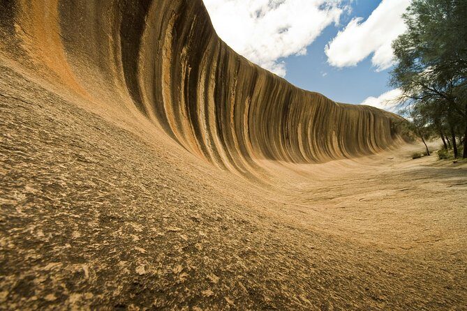 Wave Rock, York, Wildflowers, and Aboriginal Cultural Day Tour from Perth - The Itinerary in Detail