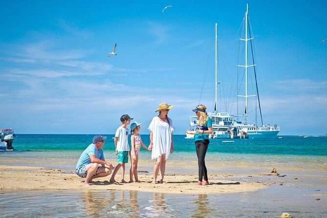 Wavedancer Low Isles Great Barrier Reef Sailing Cruise from Palm Cove - Key Points