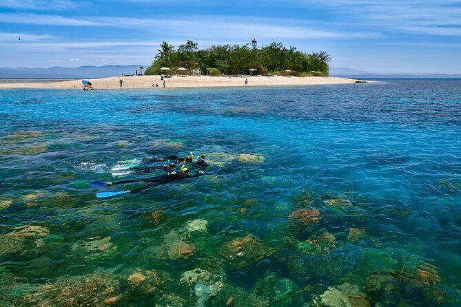Wavedancer Low Isles Great Barrier Reef Sailing Cruise from Palm Cove - FAQ