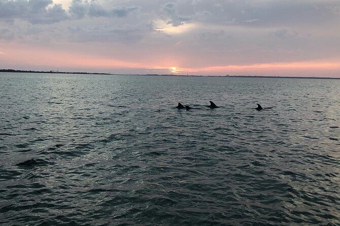 Waverunner Dolphin Tour - Authentic Experiences Highlighted by Travelers