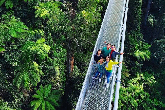 Waves Waterfalls and Wineries Full-Day Southern Highlands Private Tour - FAQ