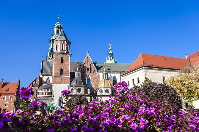 Wawel Hill Audio-Guided Tour - What You Can Expect at Each Stop