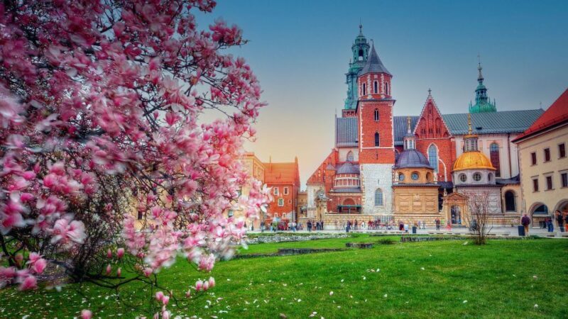 Wawel Hill Tour with Audio Guide - What to Expect on the Wawel Hill Tour