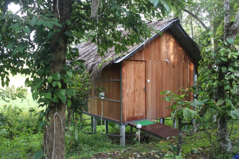 Wayanad: 2-Day Forest and Tribal Experience with Meals - Wayanad: 2-Day Forest and Tribal Experience with Meals — A Genuine Look