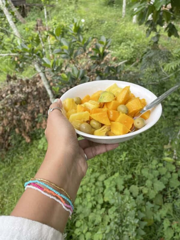 Wayanad: 2-Day Forest and Tribal Experience with Meals - Practical Details: What You Need to Know