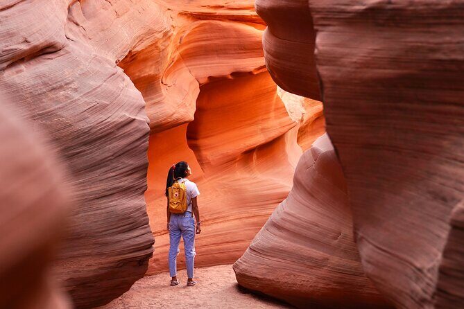 WCE Canyon O Guided Slot Canyon Tour - The Experience and Its Value