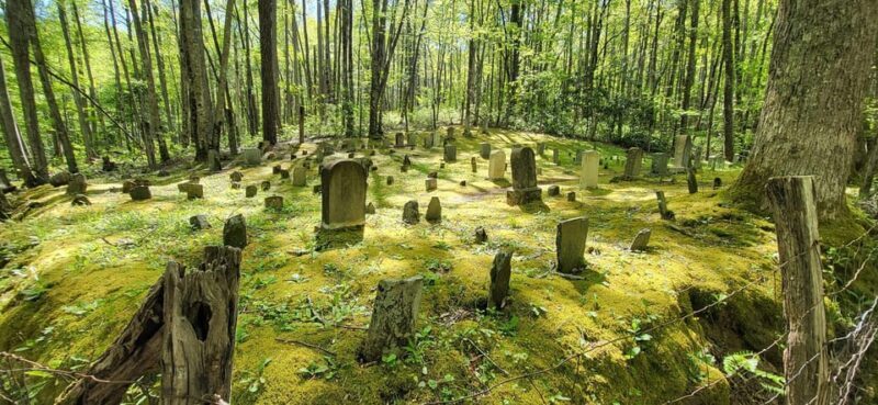 Wears Valley: Peaceful Smokies & 1882 Historic Schoolhouse - Authentic Experiences According to Past Travelers