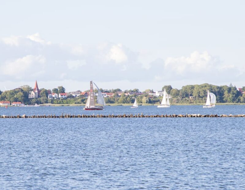 Wednesday Regatta with harbour tour - What Past Travelers Say