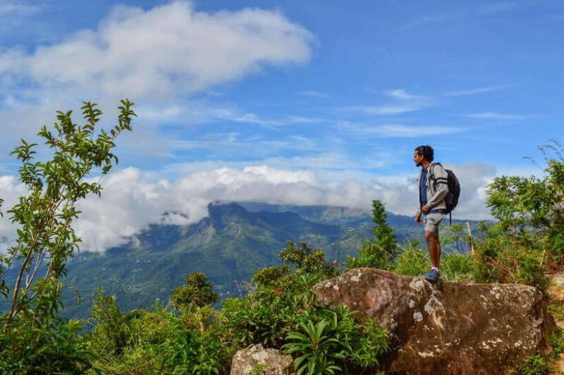 Week in Paradise (7 Days) - An In-Depth Look at the 7-Day Sri Lanka Experience