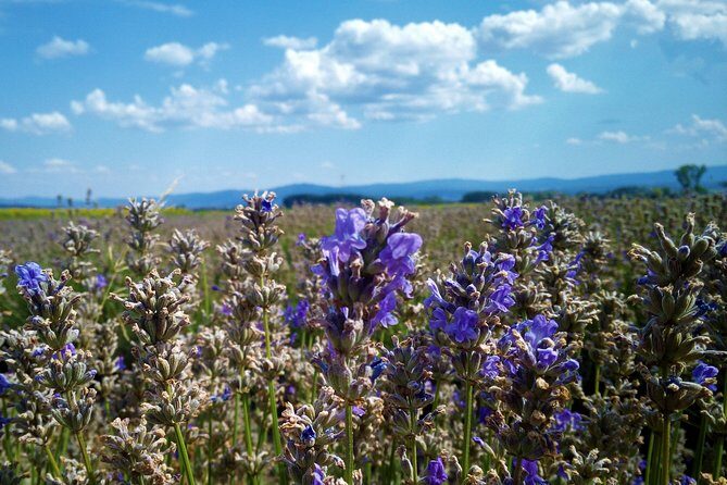 Weekend in Bulgaria - Practical Details and Value