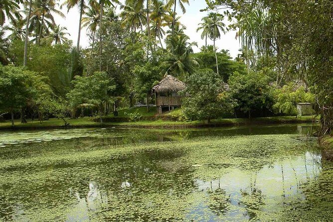 Weekend to Marari and Cochin - The Itinerary: What to Expect