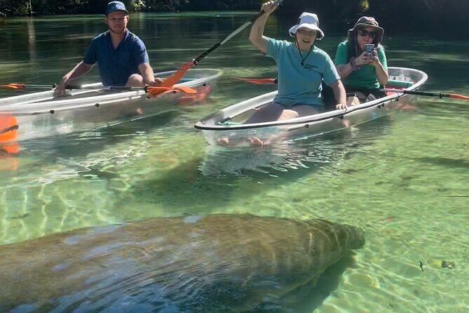 Weeki Wachee Clear Kayak Ecotours Manatee Season - November 14th-March 31st - How This Tour Compares to Other Outings