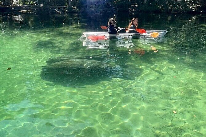 Weeki Wachee Clear Kayak Ecotours Manatee Season - November 14th-March 31st - Practical Tips for Your Trip