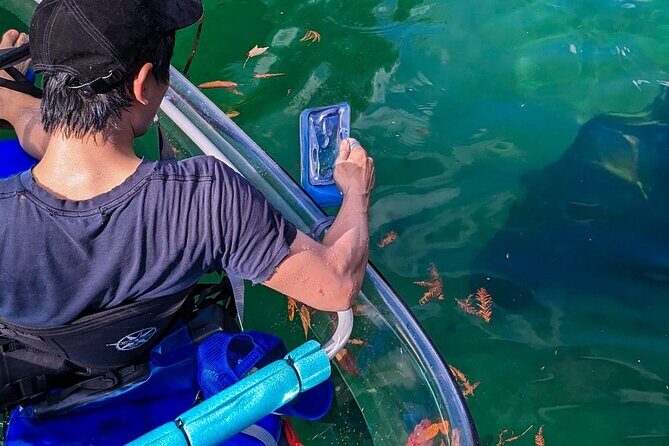 Weeki Wachee Clear Kayak Ecotours Manatee Season - November 14th-March 31st - The Value of a Small-Group Eco Tour