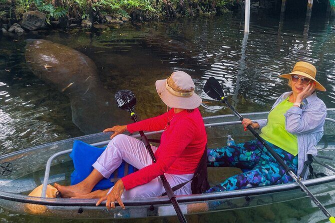 Weeki Wachee Clear Kayak Ecotours Manatee Season - November 14th-March 31st - Who Will Love This Experience?