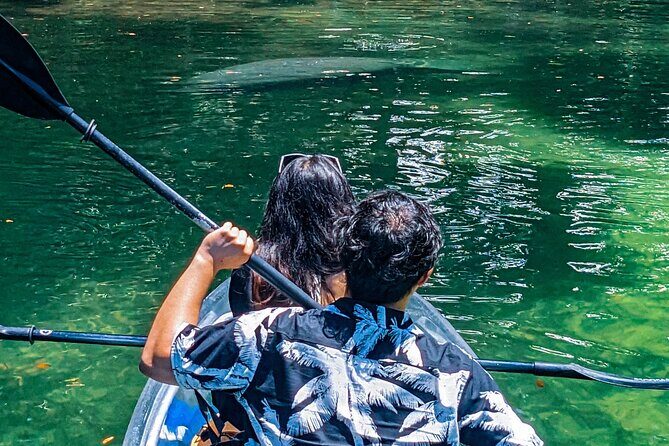 Weeki Wachee Clear Kayak Ecotours Manatee Season - November 14th-March 31st - Final Thoughts