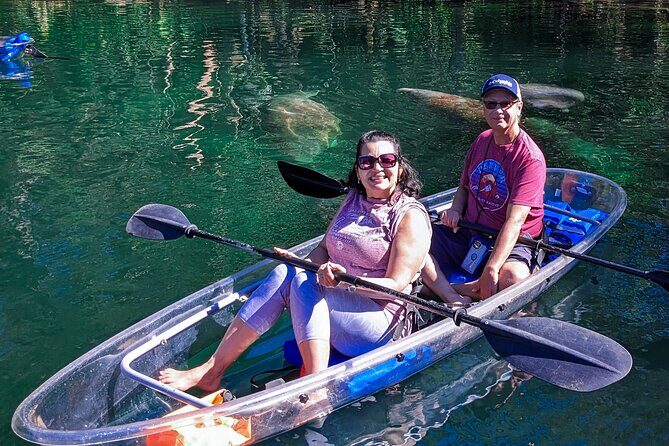 Weeki Wachee Clear Kayak Ecotours Manatee Season - November 14th-March 31st - FAQs