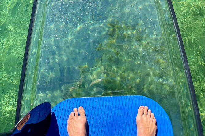 Weeki Wachee Clear Paddle Board Ecotours - Authentic Reviews and Real Experiences
