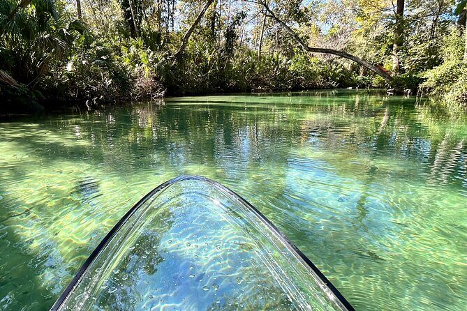 Weeki Wachee Clear Paddle Board Ecotours - The Sum Up: Is It Worth It?