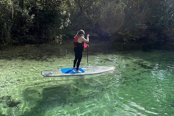 Weeki Wachee Clear Paddle Board Ecotours - FAQ