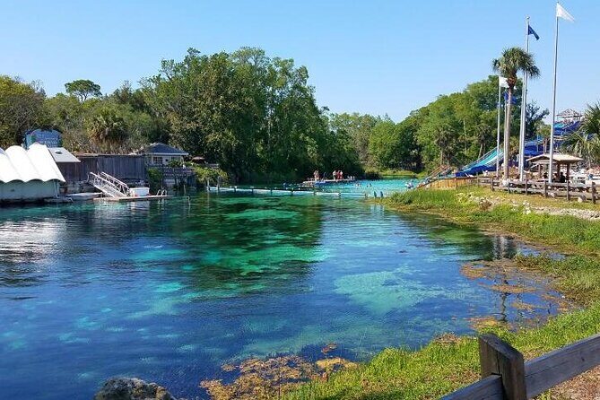Weeki Wachee kayaking - Pricing & Value Analysis