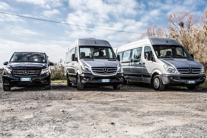 Weekly tours - An In-Depth Look at Livorno Private Tours