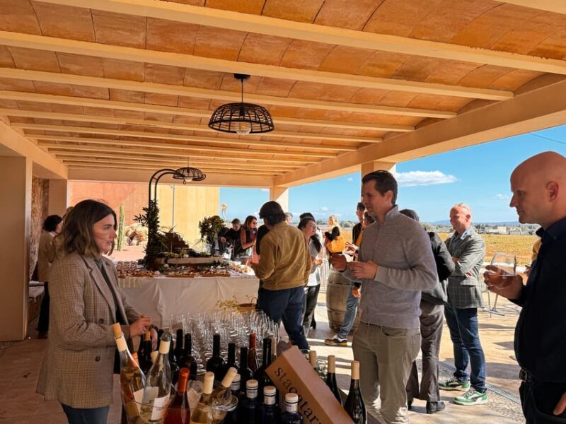 Weinsonntag auf Mallorca - Key Points