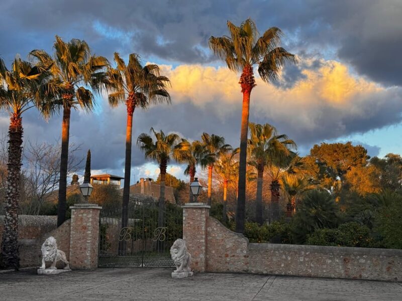 Weinsonntag auf Mallorca - Final Thoughts: Why You Should Consider Weinsonntag auf Mallorca