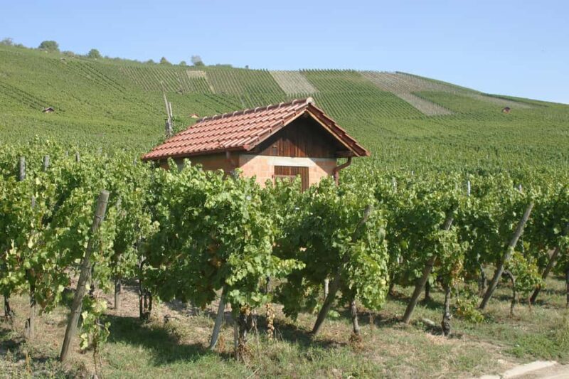 Weinstadt: 6-wine tasting with bread, water, and a discount on your favorite wine - FAQs