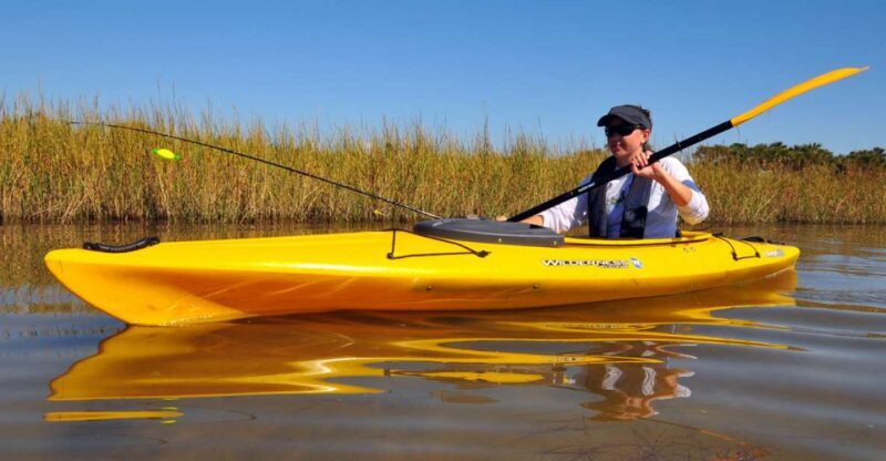 Wekiva River Kayak Full-Day Trip - Key Points