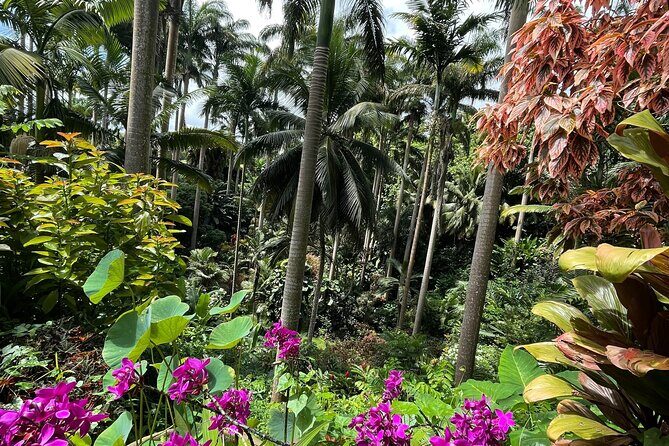 Welchman Hall Gully, Huntes Garden and Peg Farm Family Day - The Sum Up: Who Will Love This Tour?