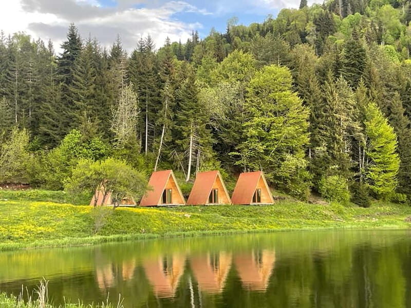 welcome to georgia discover together - Key Points