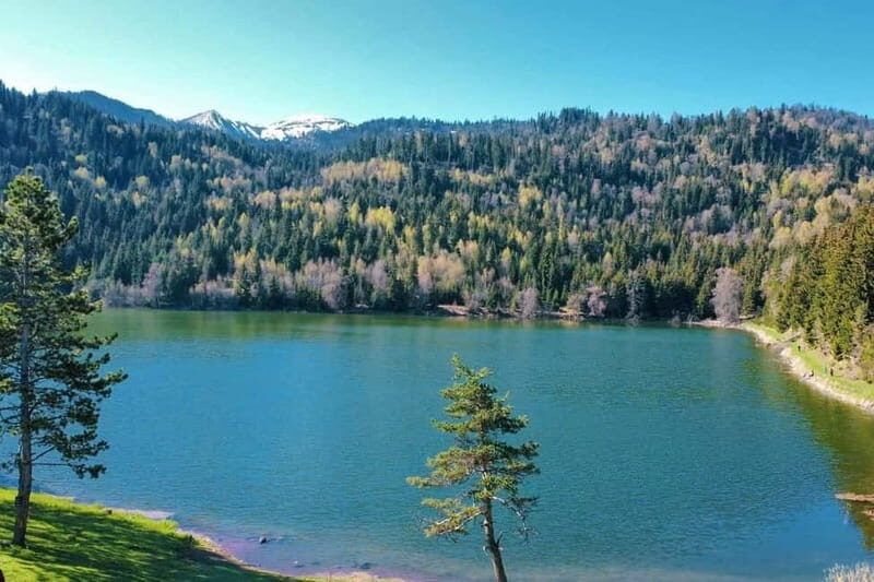 welcome to georgia discover together - Frequently Asked Questions