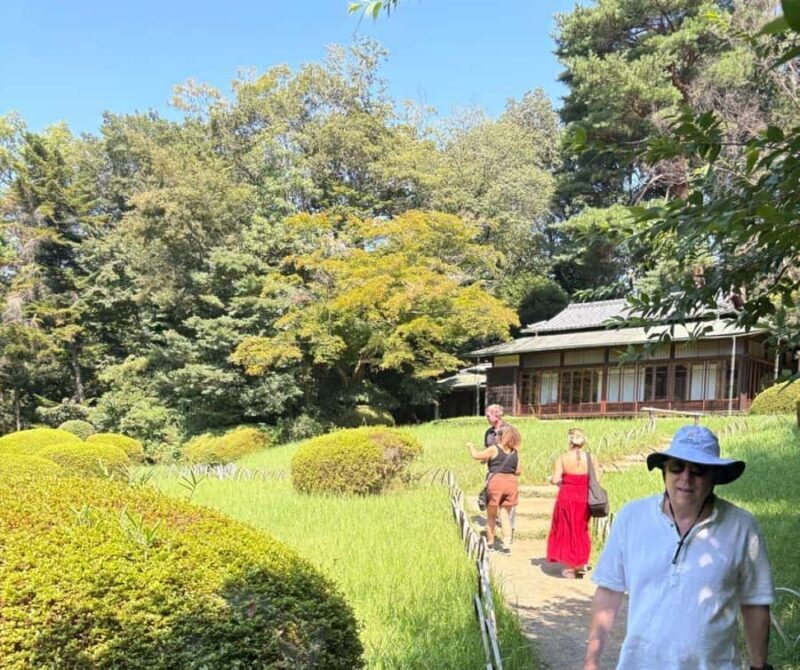 Welcome to Tokyo: A Gentle First Journey by Private Car - Key Points