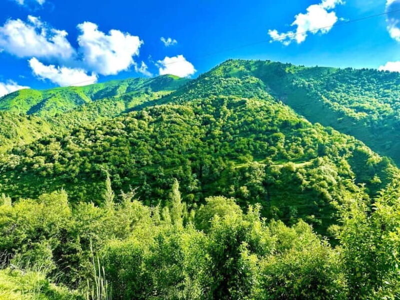 Welcome to Uzbekistan - Key Points