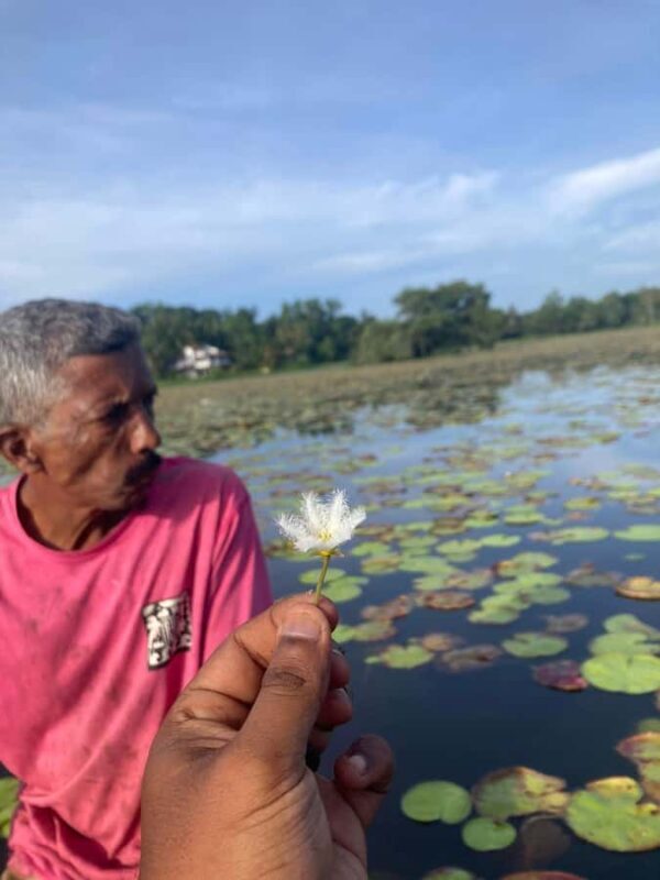 Weligama: Sunrise or Sunset Lotus Picking Canoe Tour - FAQ