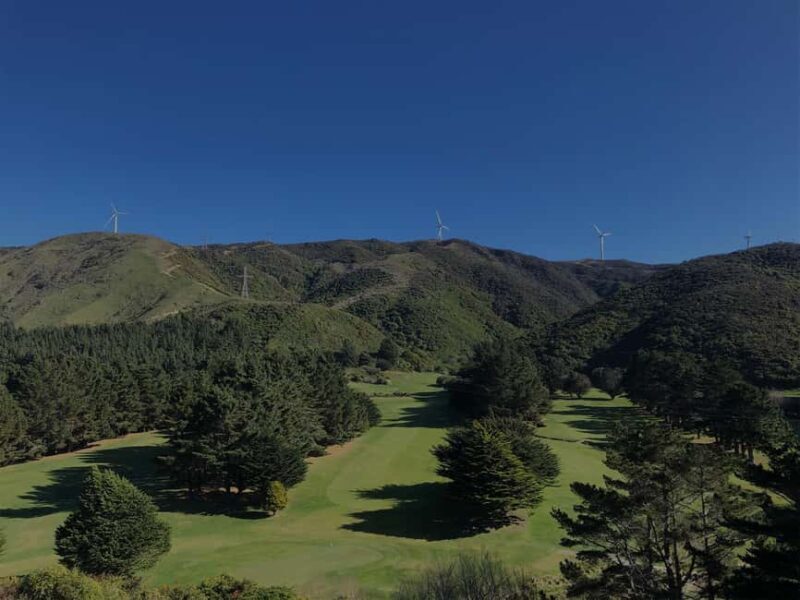 Wellington: 7-Day Lower North Island Golf Tour - The Practicalities: Transportation, Accommodation, and Group Size