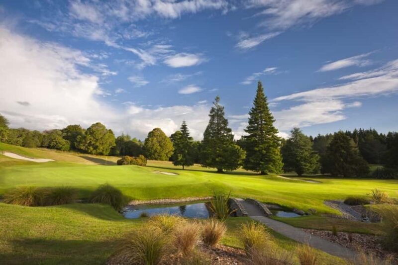Wellington: 7-Day Lower North Island Golf Tour - Final Thoughts