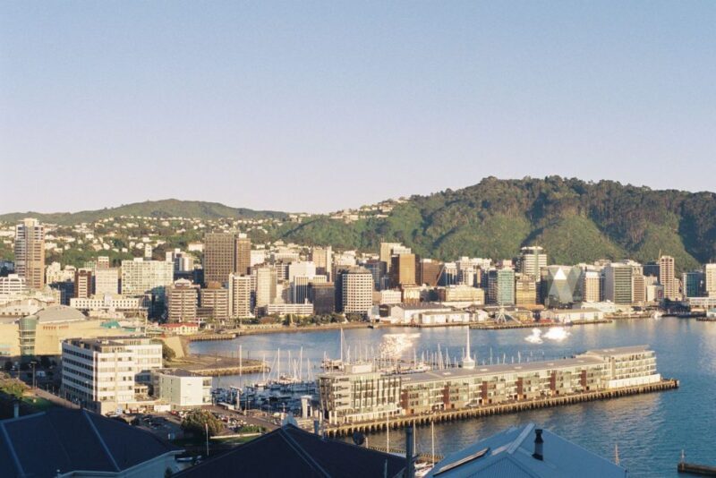 Wellington: 9-Minute Scenic Flight Ride - A Practical Look at the Wellington Scenic Flight