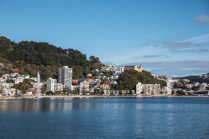 Wellington 90 minute Harbour Cruise - A Detailed Look at the Wellington Harbour Cruise