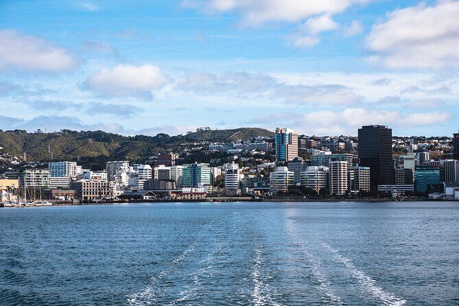 Wellington 90 minute Harbour Cruise - The Sum Up