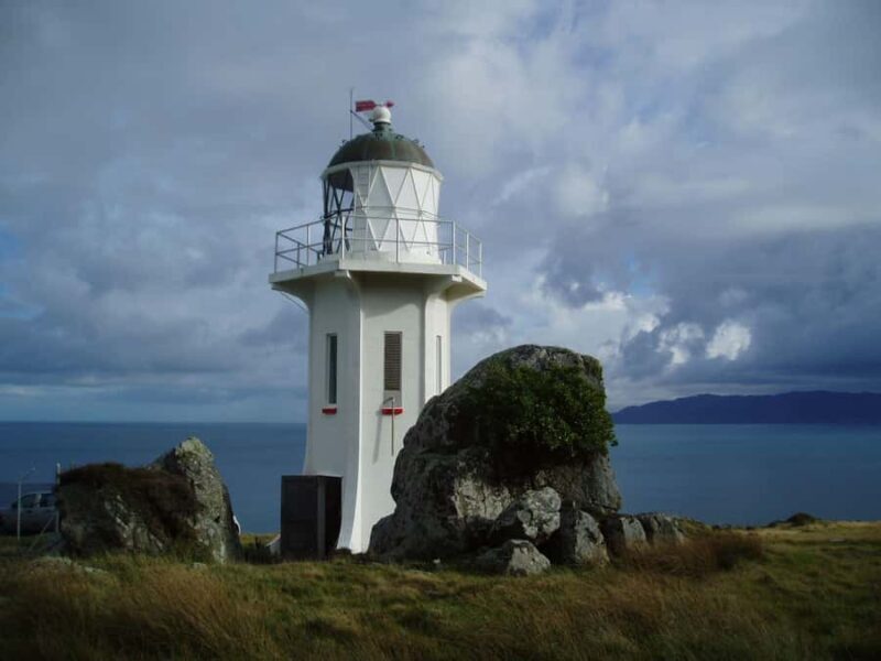 Wellington: Baring Head Lighthouse Walk - An In-Depth Look at the Experience