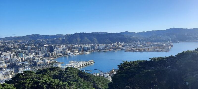 Wellington: Cave to Coast Highlights Guided Tour - FAQ