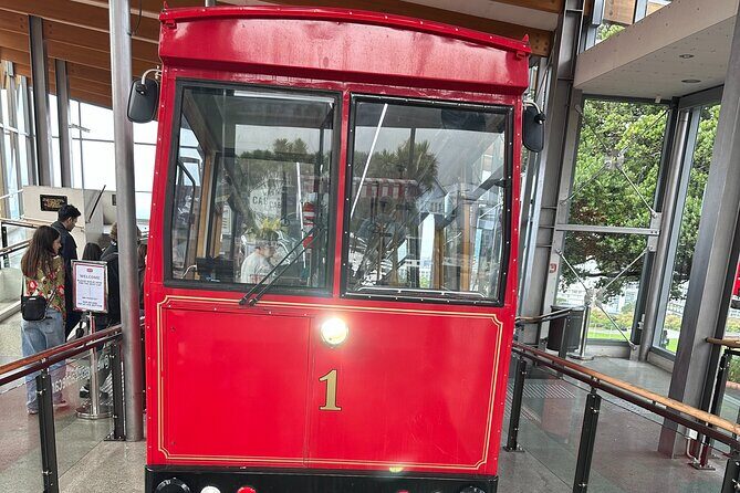 Wellington city heights shared sightseeing tour - An Authentic Wellington Introduction: What the Tour Offers