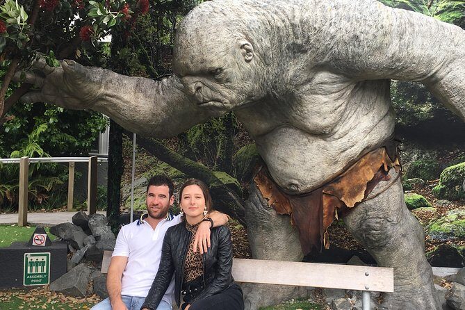 Wellington city heights sightseeing Private 5 hour tour - A Detailed Look at the Tour Experience